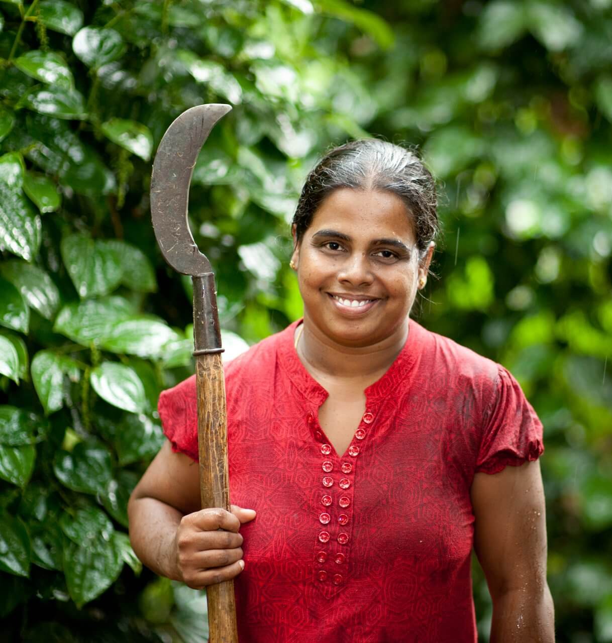 Resilience and Regeneration in Sri Lanka's Serendipol - Dr. Bronner's