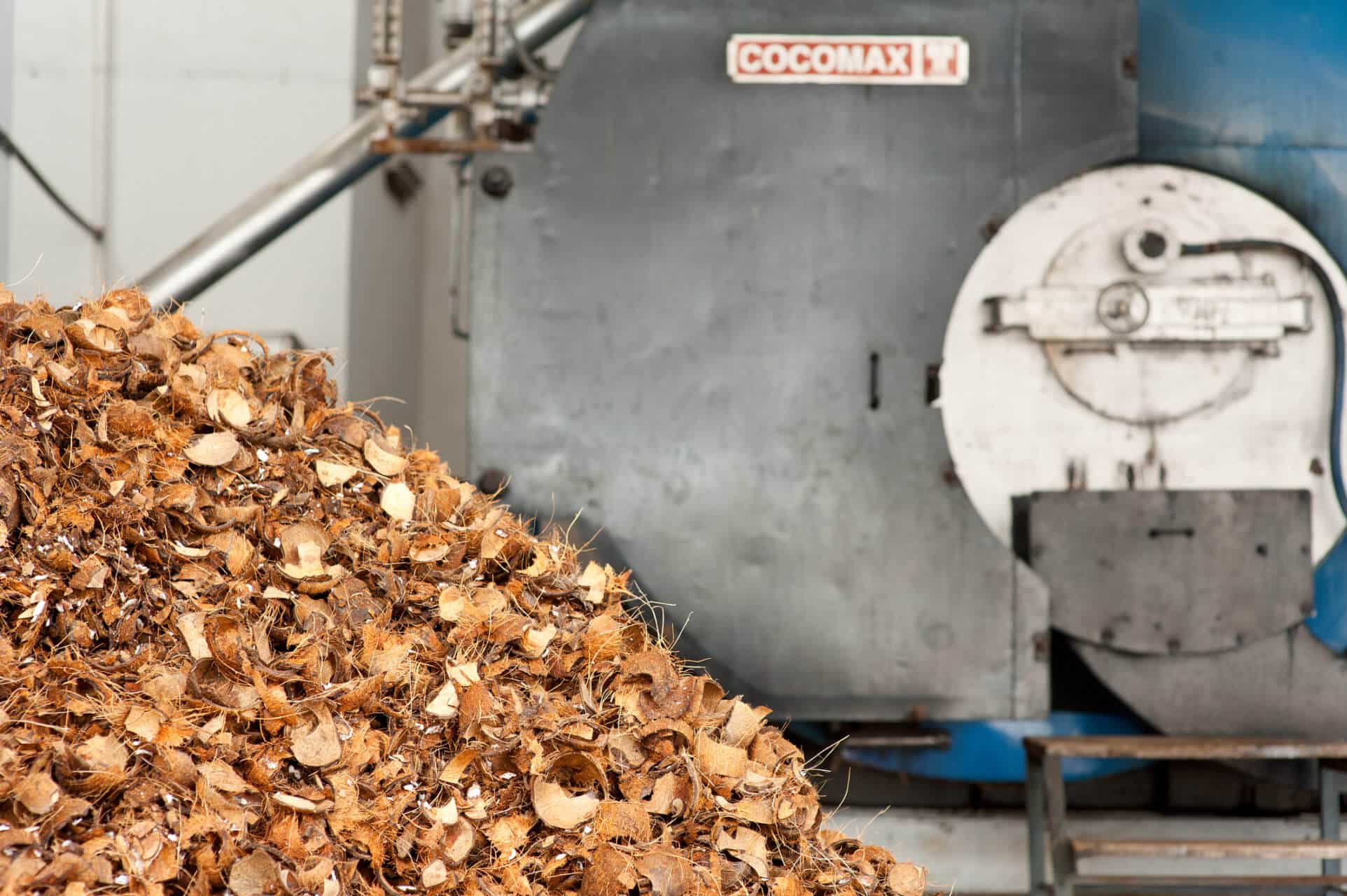 From Root to Fruit: Using the Whole Coconut - Dr. Bronner's