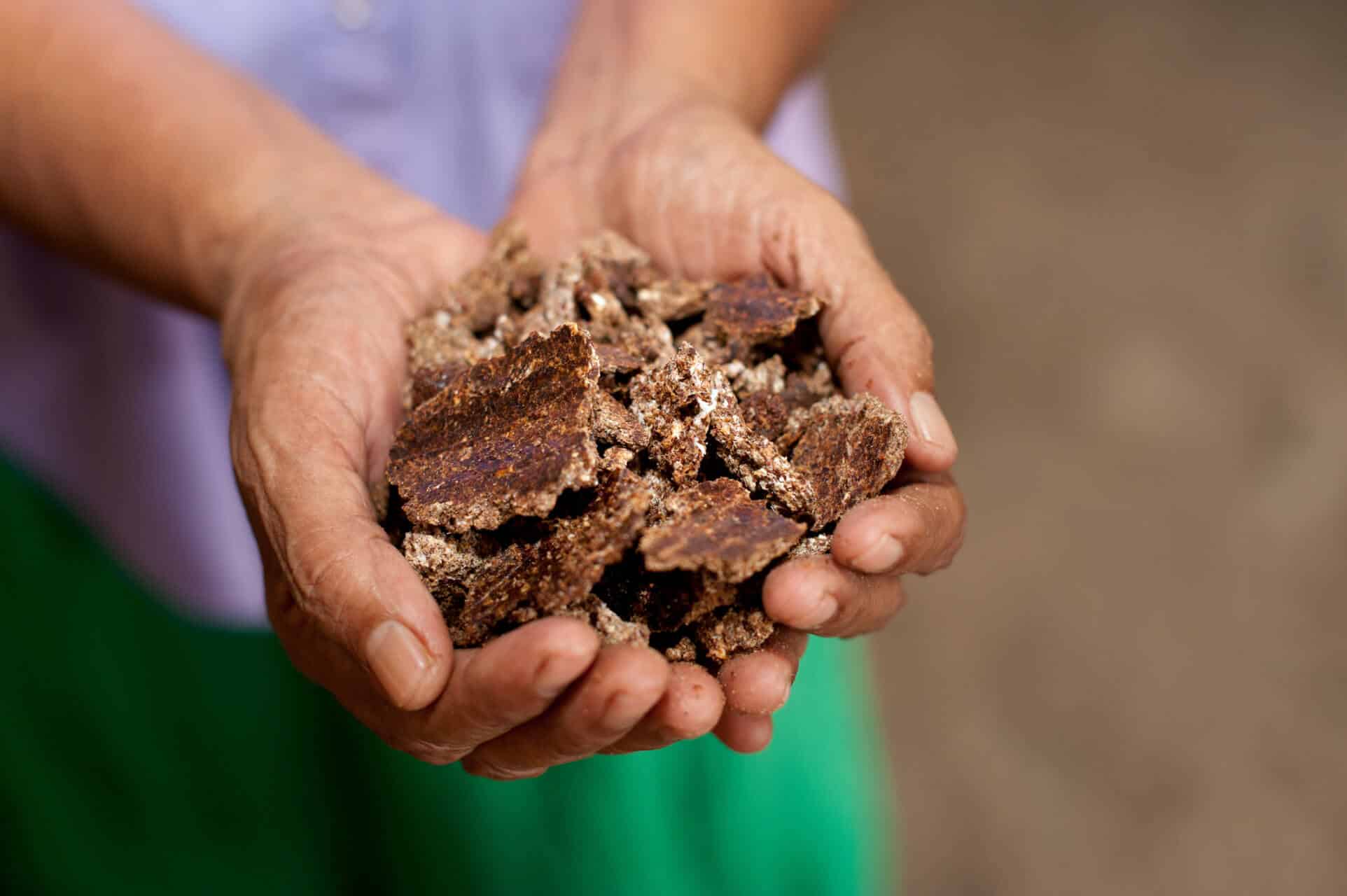 From Root to Fruit: Using the Whole Coconut - Dr. Bronner's