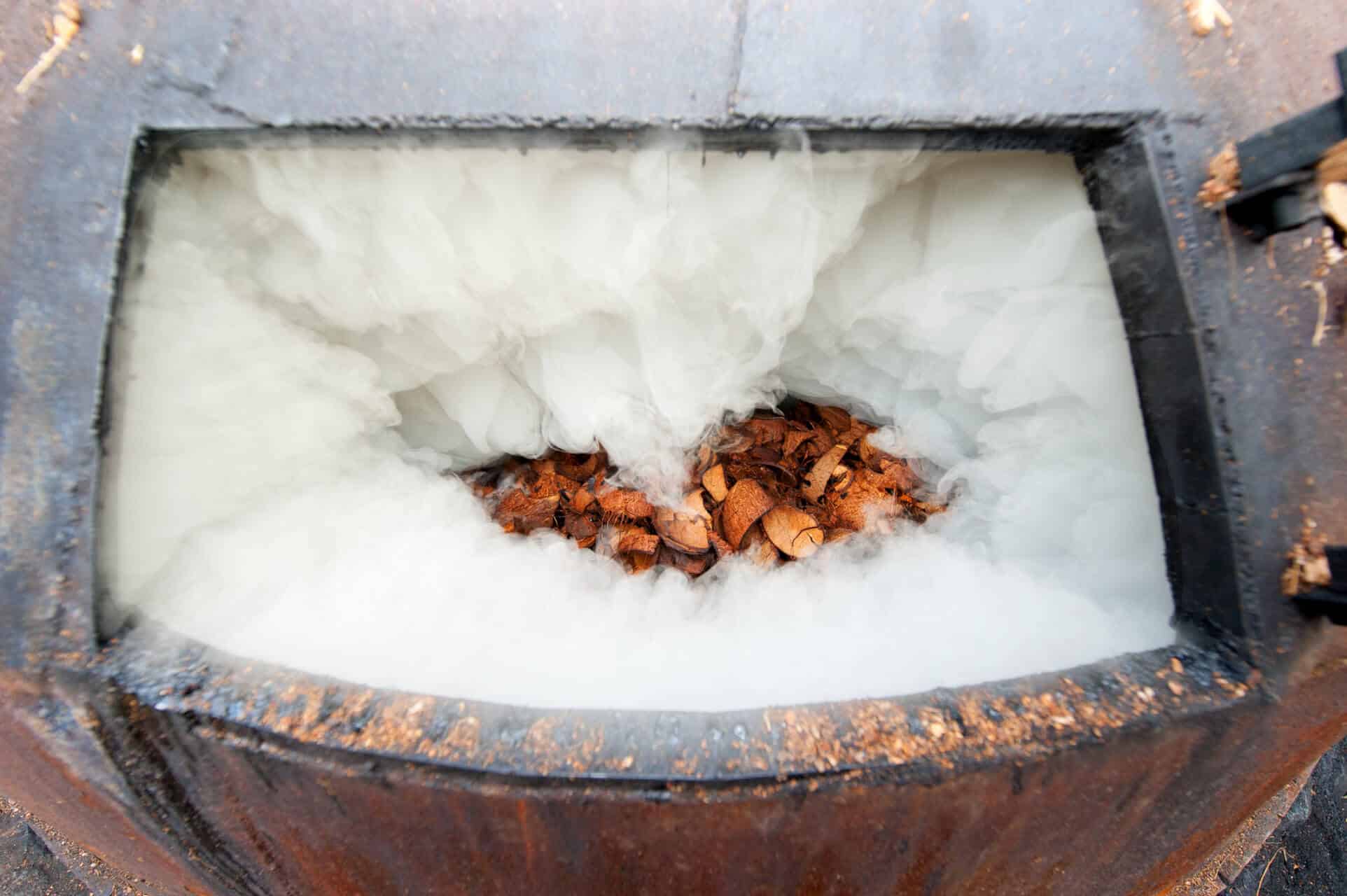 From Root to Fruit: Using the Whole Coconut - Dr. Bronner's