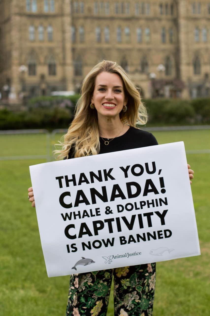 All-One Activist: Camille Labchuk of Canada’s Animal Justice on ...